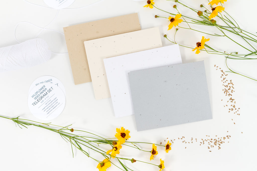 MAILABLE SEED TELEGRAM – Studio 82°